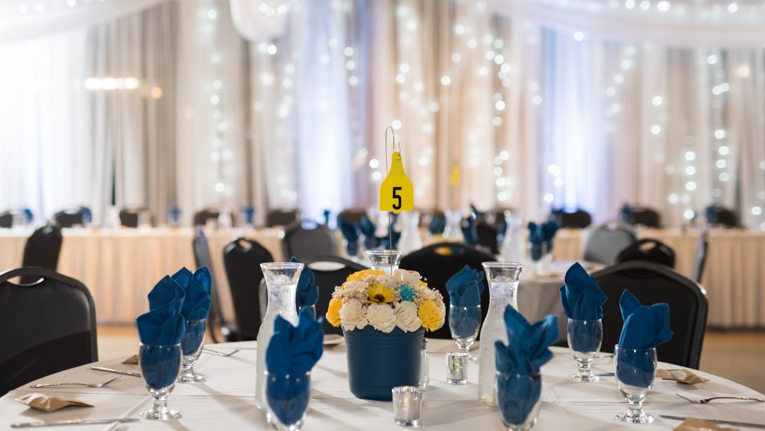 Weddings - Medina Entertainment Center