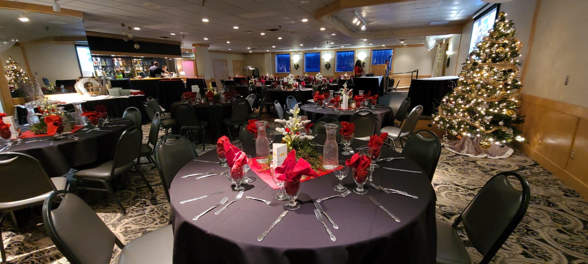 Social Gallery - Medina Entertainment Center